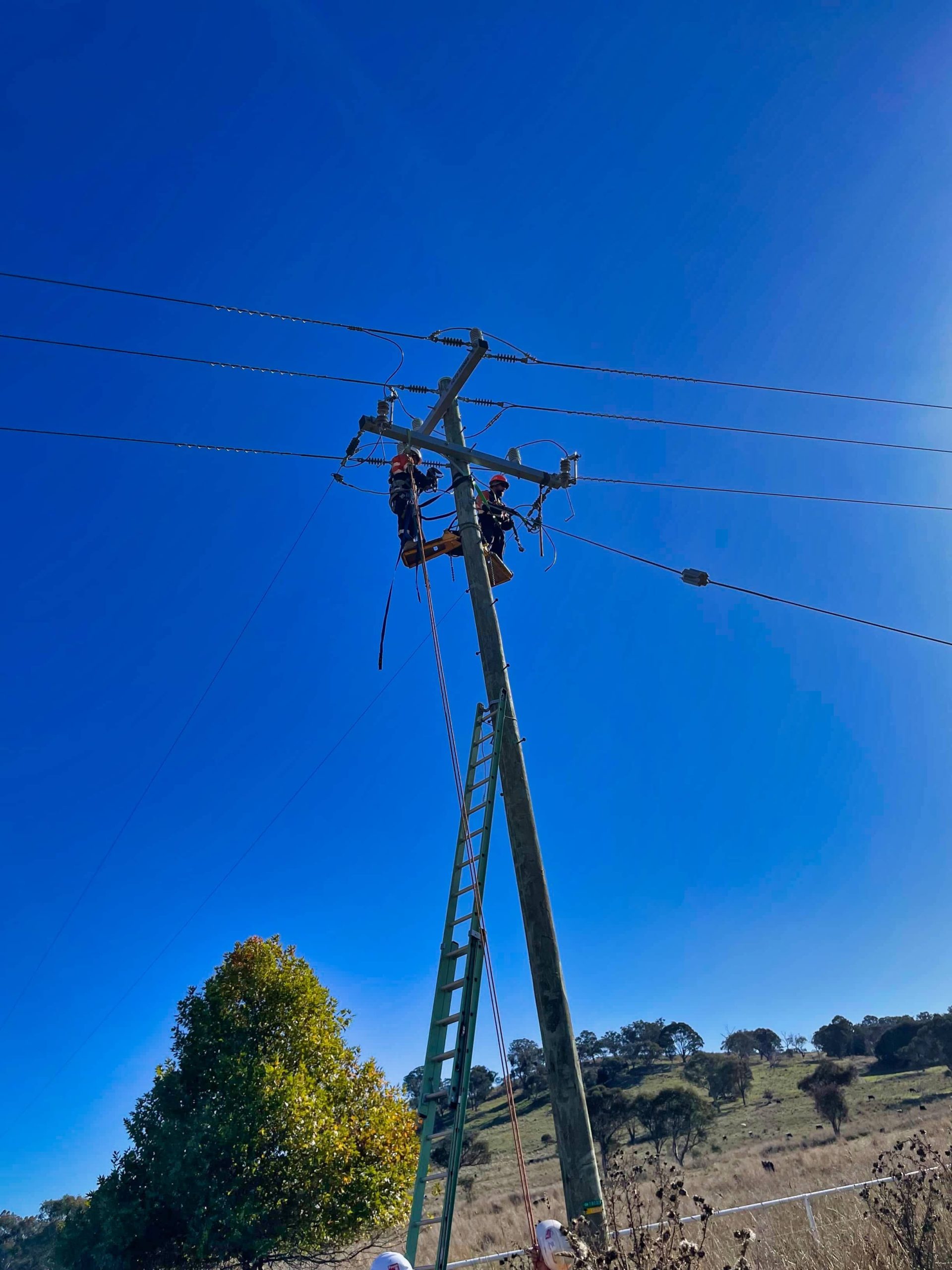 Accredited Service Provider – Level 1 - TOBCO